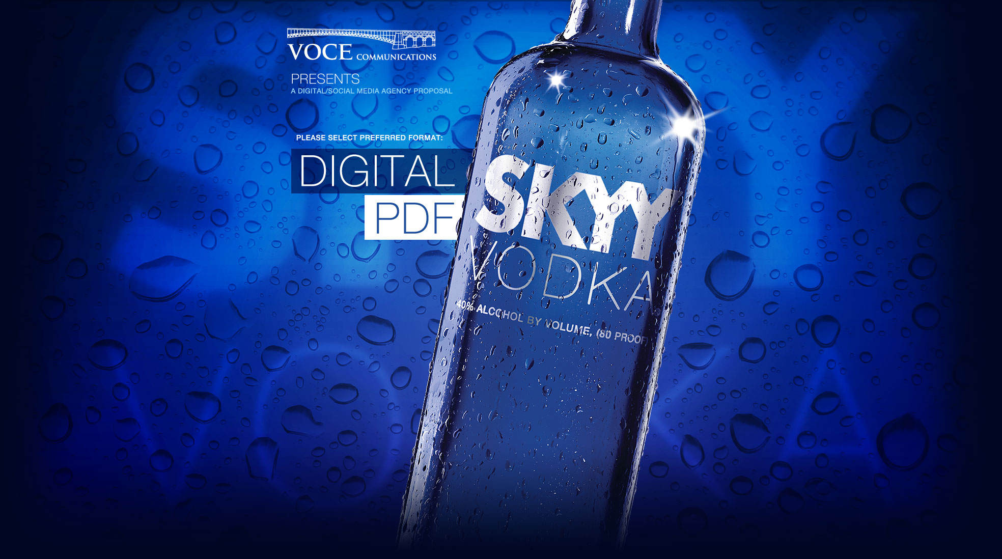 Skyy Vodka Presentation - Laz Creative